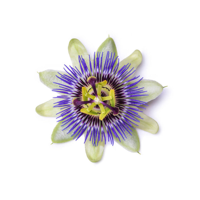 Serelax® Advanced Mood Enhancement - Pharmaxa Labs