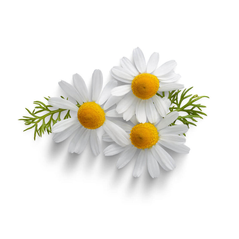 Somulin® Sleep Aid Supplement - Pharmaxa Labs