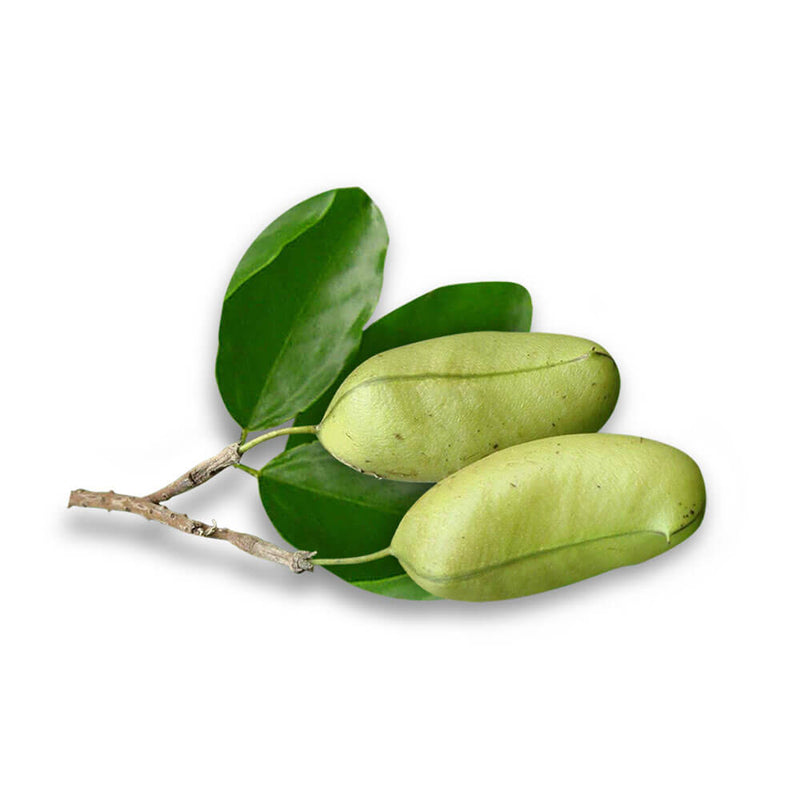 Somulin® Sleep Aid Supplement - Pharmaxa Labs