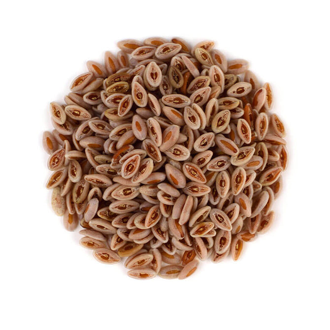 Colopril® Internal Colon Cleanse - Pharmaxa Labs